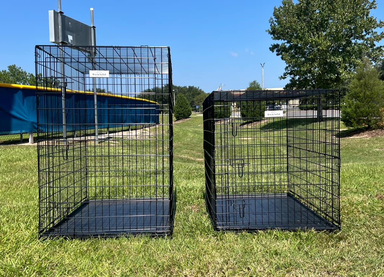 Dog crate Archives - Rock Solid Crates